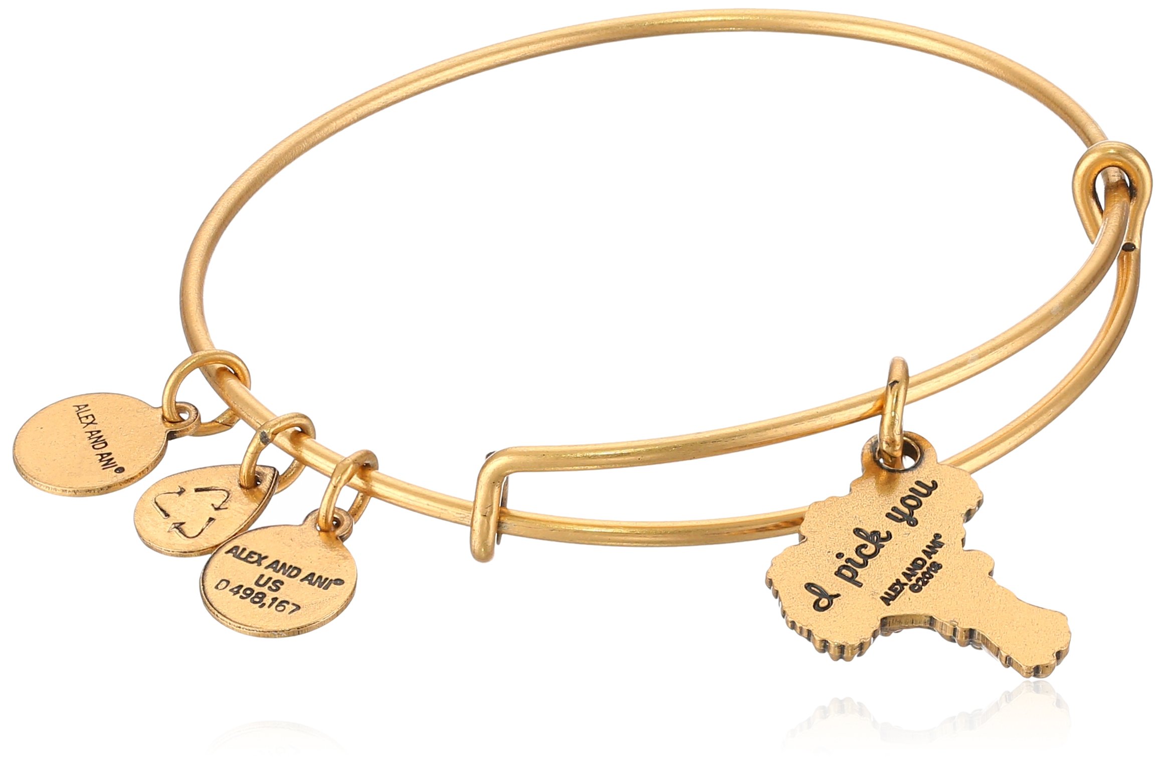 Alex and Ani Womens I Pick You EWB Bangle Bracelet, Rafaelian Gold, Expandable