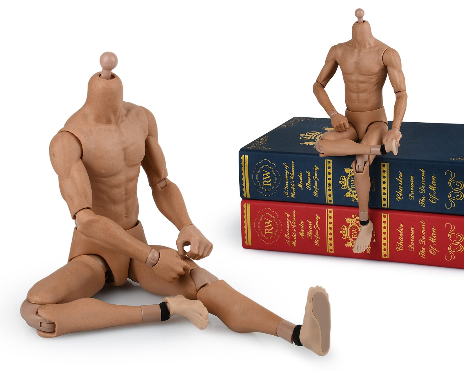 DS. DISTINCTIVE STYLE 1/6 Scale Male Body Narrow Shoulder Standard 12 Inch Action Figure with 8 Interchangeable Hands for Most Head Sculpt