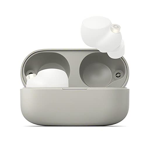 Sony WF-1000XM4 Replacement OEM Charging Case (Silver)