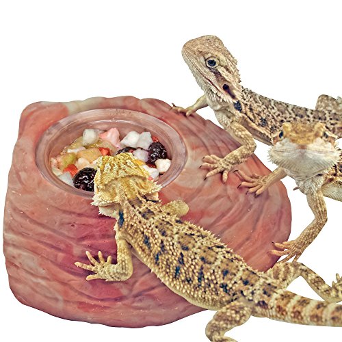 Healthy Herp Instant Meal Juvenile Dragon Food Variety Pack (7 x Juvenile Dragon Food, 4 x Fruit Mix, 3 x Vegi Mix, and 1 X Feeding Dish)