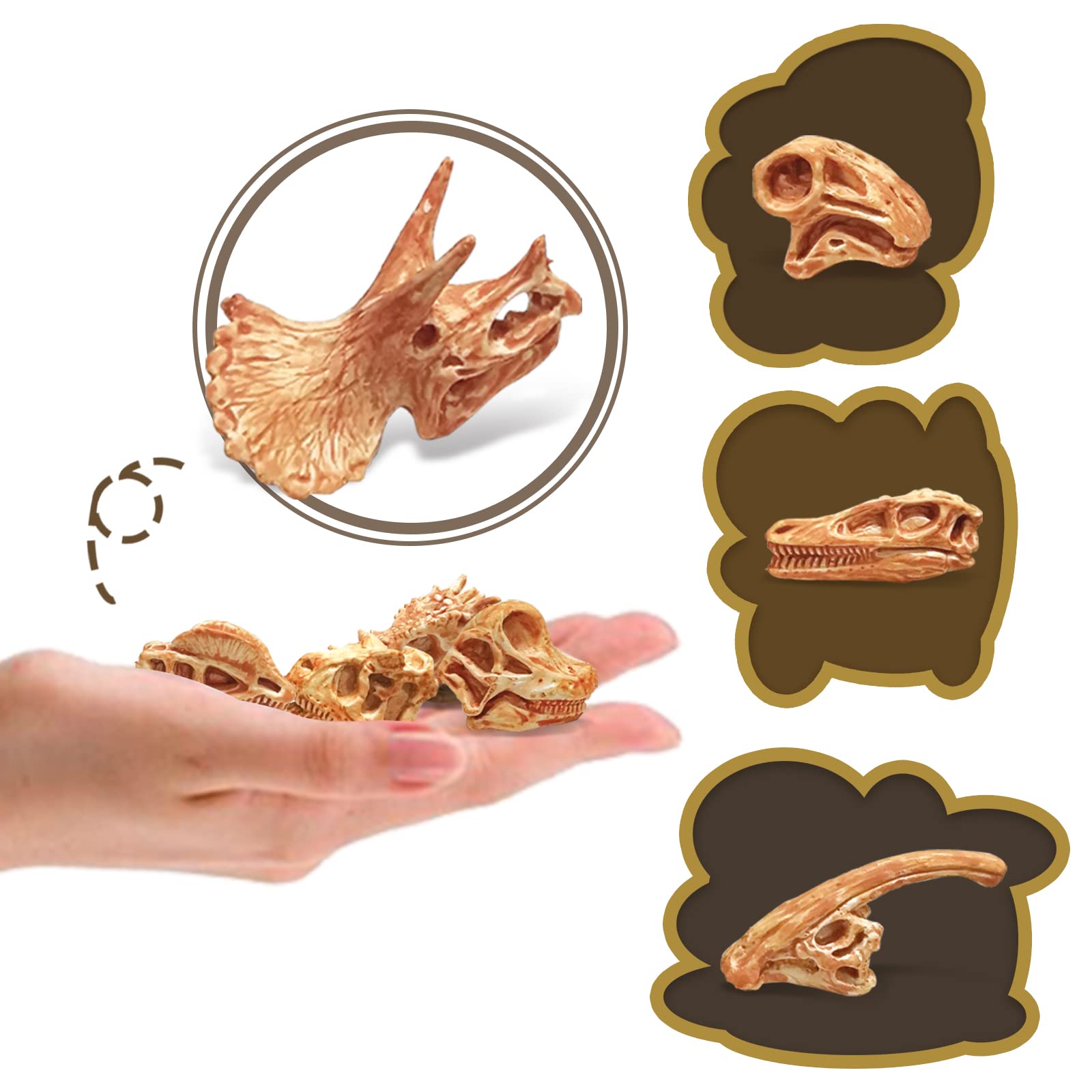 LC JoyCre Mini Dinosaur Bones for Sandbox Kids Toys Realistic Fake Dinosaur Bones for Kids Toys Dinosaur Bones for Kids to Dig Up