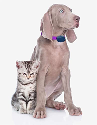 Heavy Duty Nylon Replacement Collar Strap - Compatible with Nearly All Brands and Models of Underground Electric Dog Fences and Training Collars Blue