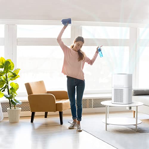 HEPA Air Purifiers for Home Large Room, CADR 300+m³/h 1290ft², H13 true HEPA filter remove 99.97% of dust, mold, allergies, odor, pets hair dander, smoke, pollen