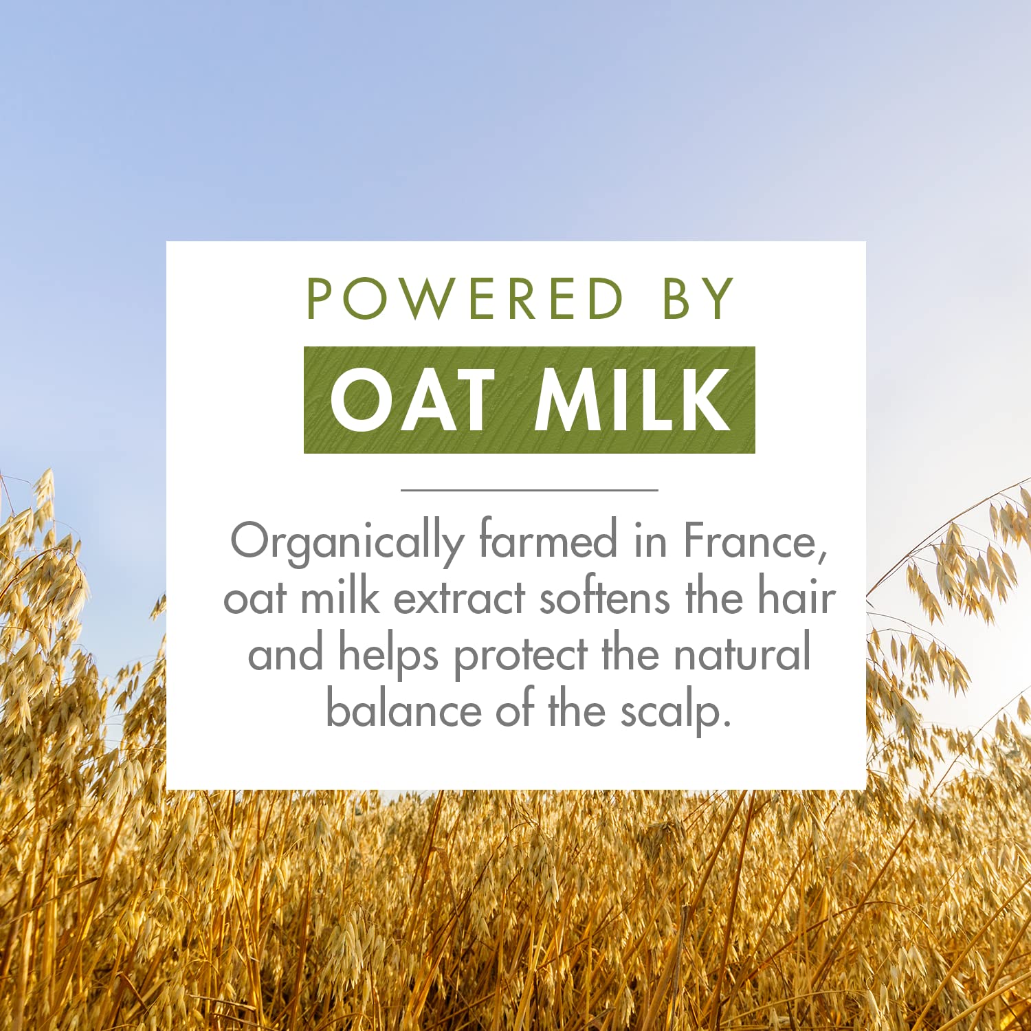 Klorane Ultra-Gentle Shampoo with Oat Milk, Sulfate-Free, Dermatologist and Pediatric Tested, Hypoallergenic, Vegan, Plant-based, Biodegradable