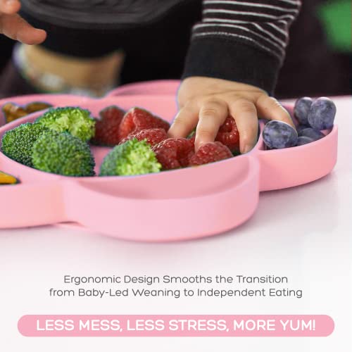 grabease Baby Essentials Must-Haves - Complete Feeding Set for Baby-Led Weaning and Portion Control - Suction Bottoms 4 Piece Set, BPA and Phthalates-Free, Blush