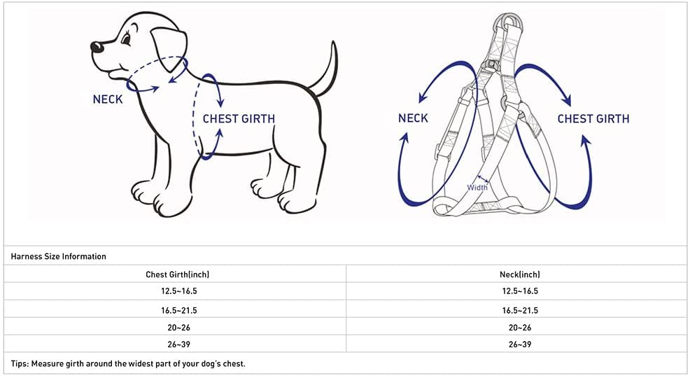 Blueberry Pet Essentials Matching Dog Collar Leash Harness Set in Verdant Green, Adjustable Classic Solid Color Nylon Collar with Harness & 5 ft Leash for Small Dogs