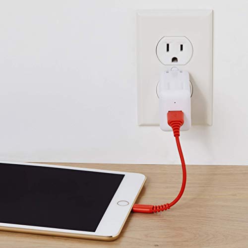 Amazon Basics MFi-Certified Lightning to USB A Cable for Apple iPhone and iPad - 4 Inches (10 Centimeters) - Red