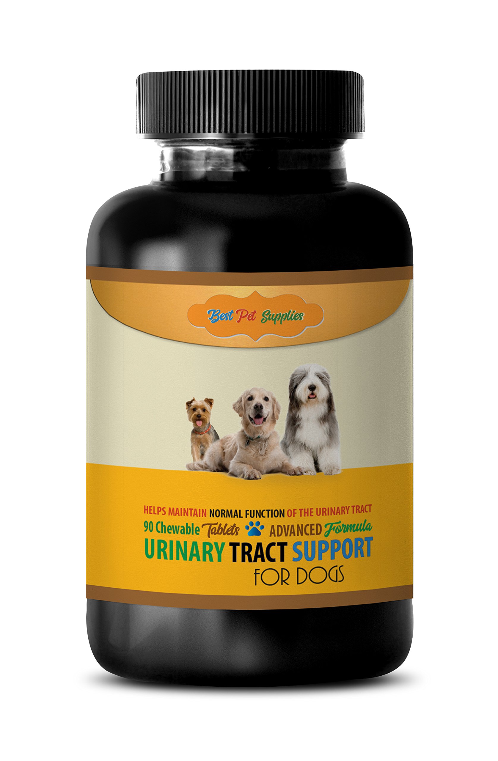 Bladder Support for Dogs - Dogs Urinary Tract Support - Maintain Health Function - CHEWABLE - uva Ursi for Dogs - - dog supplements & vitamins - dog vitamins and multivitamins - 90 Treats (1 Bottle)