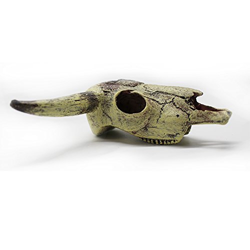 Leoyoubei Aquarium Decoration, Fish Tank Small Skull,Fish Turtle Hidden, Bonsai beautification. Cave Landscape Pet Reptile House Shrimps & Snails Love Them (Cattle Skull)
