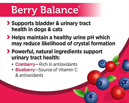 Solid Gold Cranberry Supplement for Dogs & Cats for Urinary Tract Health - Berry Balance Chews UTI + Bladder + Kidney Support for Cats and Dogs with Antioxidants