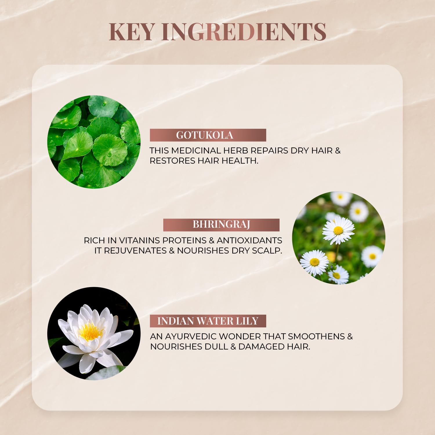 Just Herbs Organic Kumuda Hair Conditioner with White Water Lily & Gotu Kola For Hairfall & Hair Thinning, Silicon & Sulfate Free Conditioner - 6.8 fl.oz.
