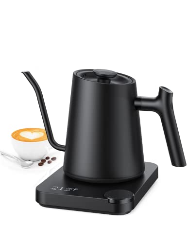 Paris Rhône Gooseneck Electric Kettle, Temperature Variable Electric Kettle for Coffee Tea Brewing, 0.9L Stainless Steel Tea Kettle, 1H Temperature Holding, Built-in Stopwatch for Gift