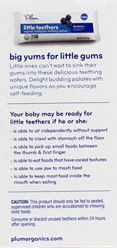Plum Organics Little Teethers, Blueberry, 0.52 Ounce, 6 Count