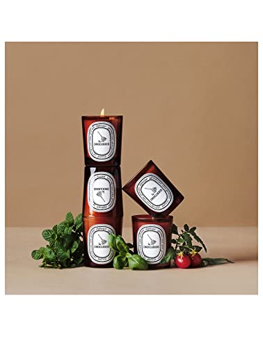 Diptyque - la DROGUERIE - Odor Removing Candle with Basil 6.5 oz.