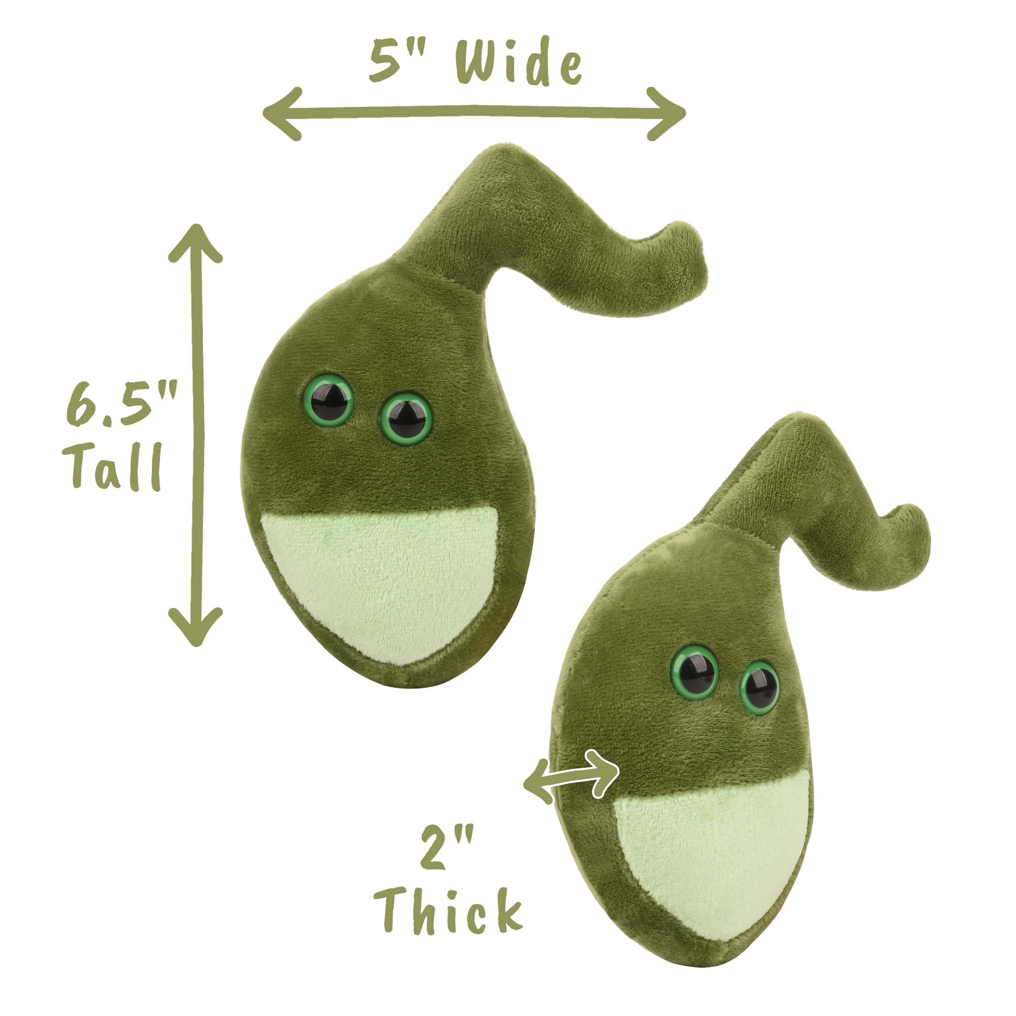 GIANTmicrobes Gallbladder Plush, Gallbladder Stuffed Animal, Gallbladder Surgery Gifts, Gallbladder Plush Toy, Gallbladder Removal Gift, Gastroenterology Gifts, Gastroenterologist Gifts, Get Well Gift