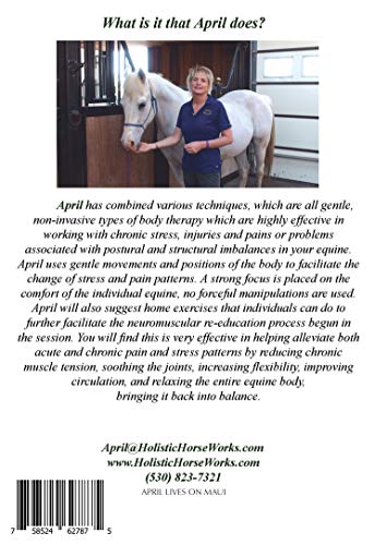 Holistic Horseworks “Level 1: Equine Musculoskeletal Unwinding” DVD Course - Certified Horse Massage Therapy Technique - Earn a Certificate of Completion - For Novice and Pro Horse Lovers