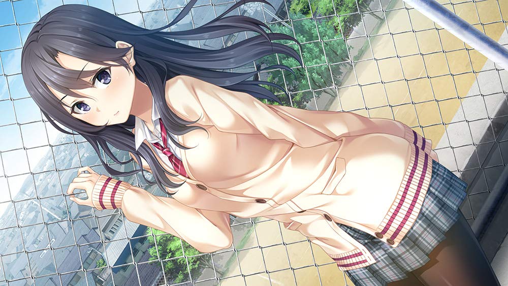 ENTERGRAM MELL KISS FOR SONY PS4 PLAYSTATION 4 JAPANESE VERSION