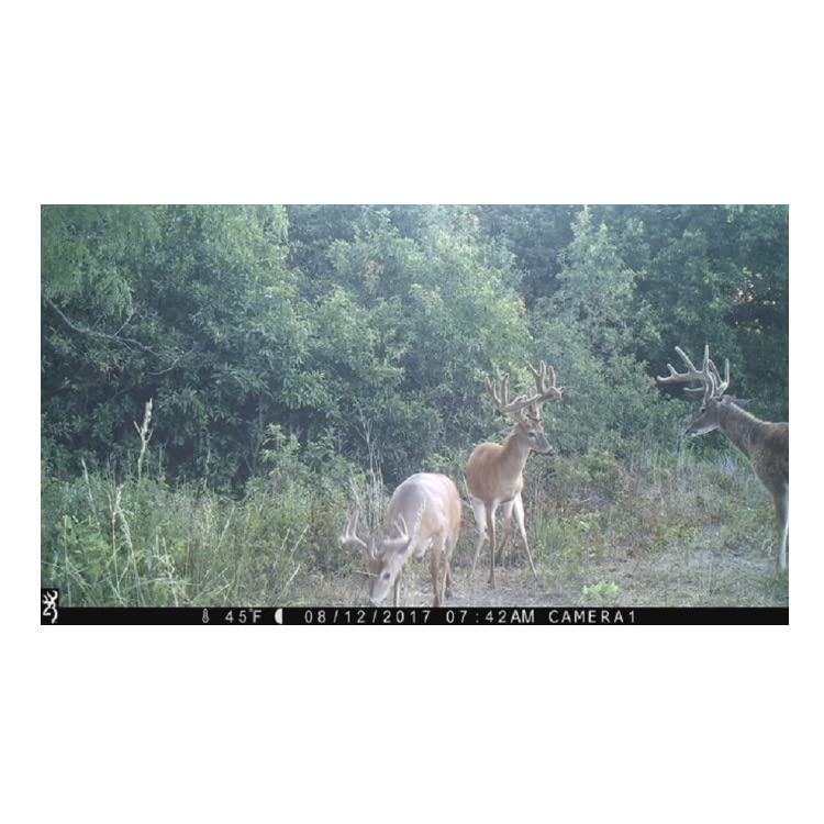 Browning Trail Cameras Strike Force Extreme 16MP Game Camera (4-Pack) Bundle with Cameras Sub-Micro Security Box (4-Pack), Locking Cable (4-Pack), 32GB Memory Card (4-Pack) and Card Reader (17 Items)