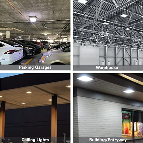 Commercial Lighting Technologies CLT 60W Waterproof IP65 LED Outdoor Canopy Garage Light 4000K