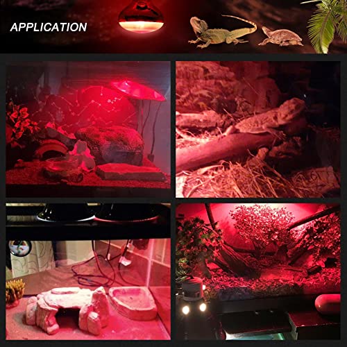 FIVEAGE Reptile Red Heat Lamp 100 Watt, Infrared Basking Spot Lamp, Lizard Heating Lamp for Bearded Dragon Tortoise Snake Chameleon Reptiles and Amphibian Use, 4 Packs
