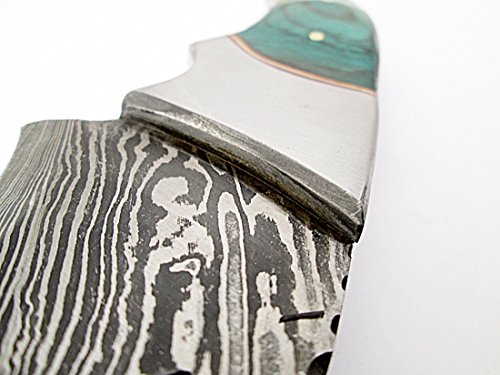 AishaTech Alligator Hunting Knife Damascus Steel Blade Stag & Wood Handle
