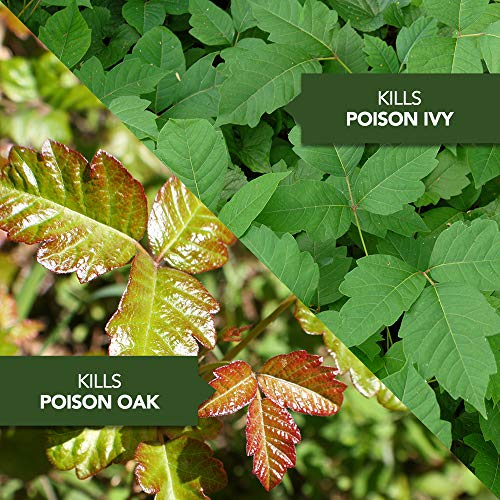 BioAdvanced Brush Killer Plus, Concentrate, 32 oz β Kills Tough Brush Roots & All, Kills Poison Ivy