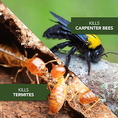 BioAdvanced Carpenter Ant & Termite Killer Plus, Concentrate, 1 Gal