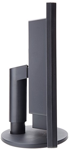 Samsung S19B420BW 19-Inch Screen LCD Monitor,Black