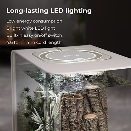 Flow 15 Aquarium with Standard Light - 4 Gallon, White