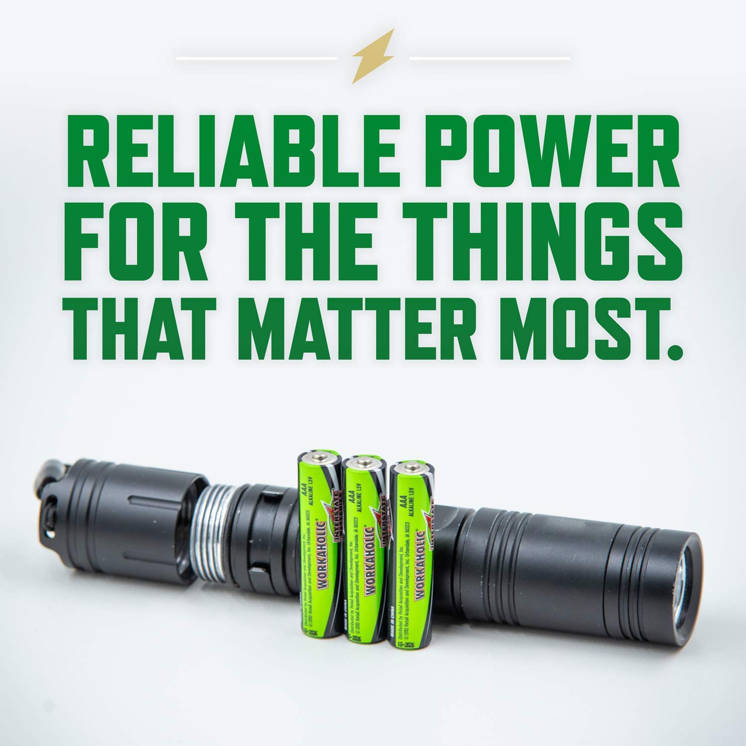 Interstate Batteries AAA Alkaline Battery (100 Pack) All-Purpose 1.5V High Performance Batteries - Workaholic (DRY7003)