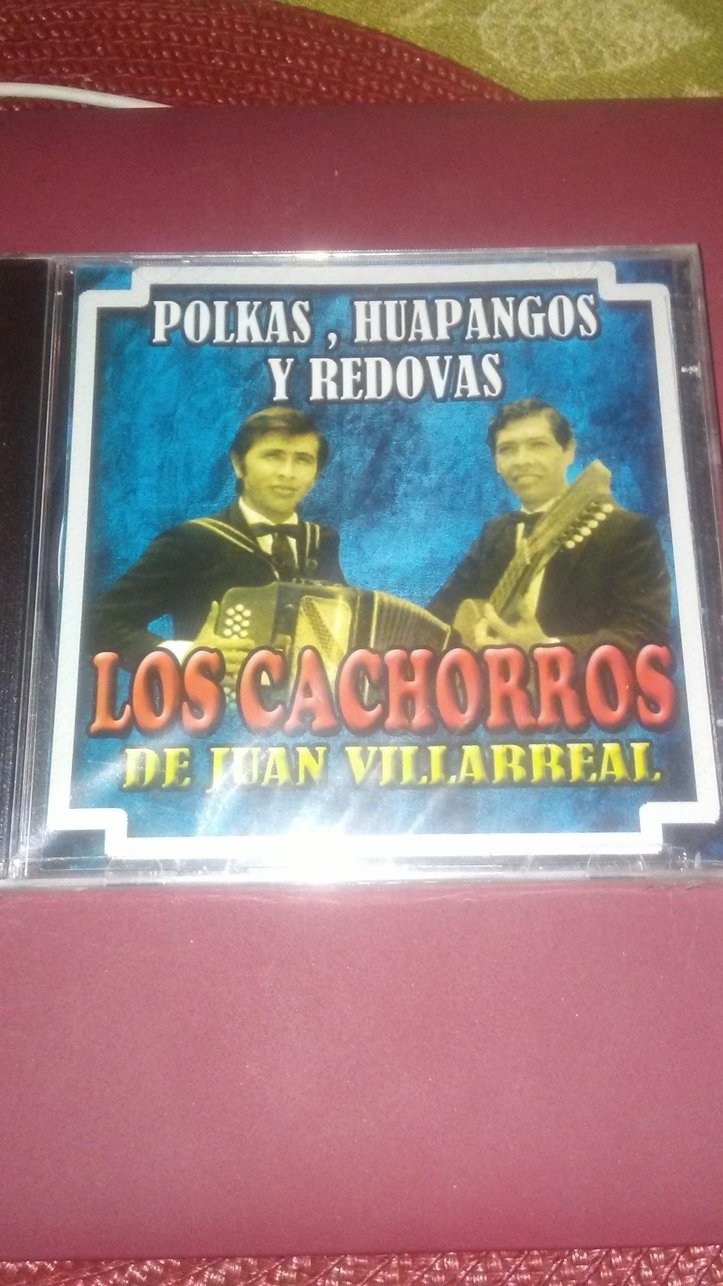 Los cachorros de juan villarreal