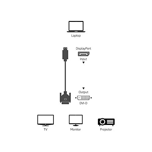 Amazon Basics DisplayPort to DVI Adapter, 1-Pack, White