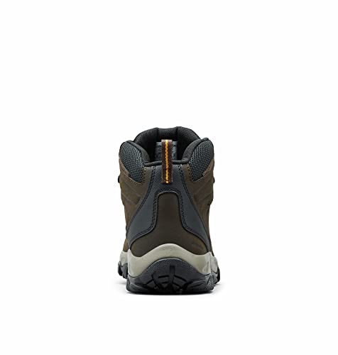 Columbia mens Newton Ridge Plus Ii Waterproof Hiking Boot, Cordovan/Squash, 10 US