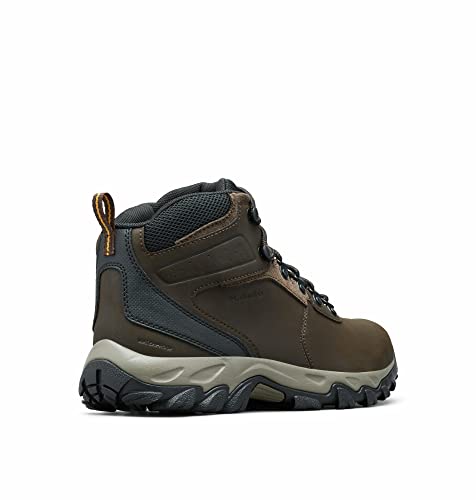 Columbia mens Newton Ridge Plus Ii Waterproof Hiking Boot, Cordovan/Squash, 8.5 US