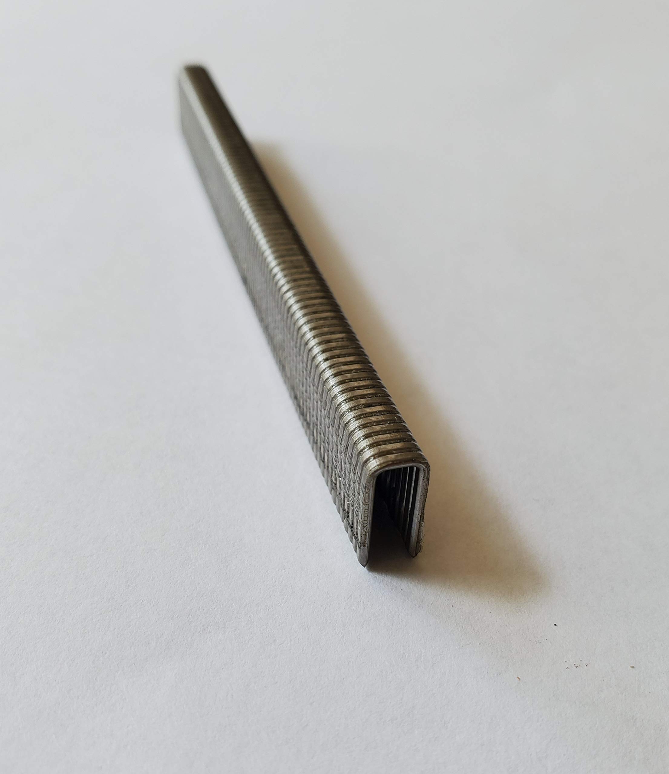 NAILPRO L13SS 1" Leg x 1/4" Stainless Steel Narrow Crown Staples, 1000 Count