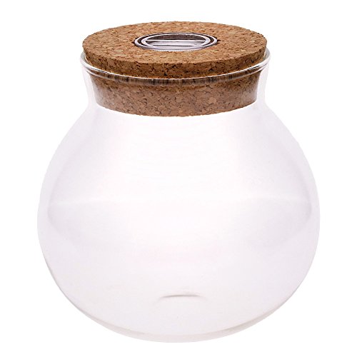 WXLAA Round Glass Plant Terrarium with Colorful LED Light Tabletop Glass Planter for Succulent Water Planting Jar Grow Hydroponic Plants Office Home Decoration 11cm