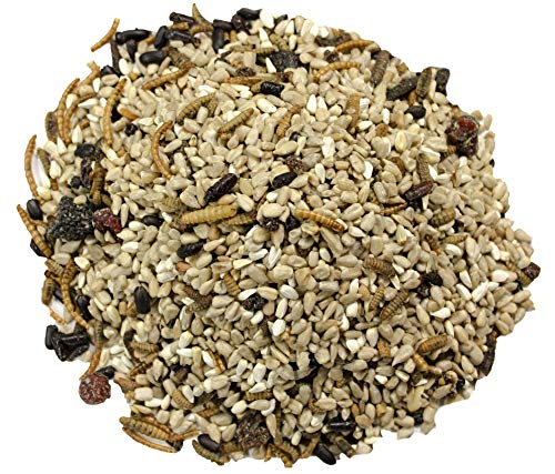 Wild Delight 099127 Bugs N' Berries Wild Bird Food, 4.5 Lb