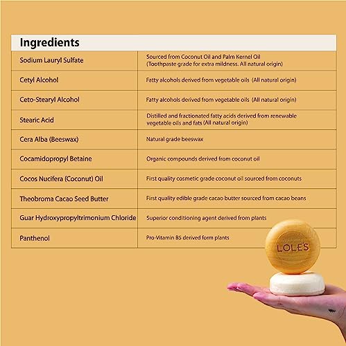 LOLE'S Shampoo Bar and Conditioner, 2in1 Men's Care for Cleaning Hair, Body and Beard, Coconut Scent, 99% Natural Origin, Sustainably Sourced, 3.5Oz