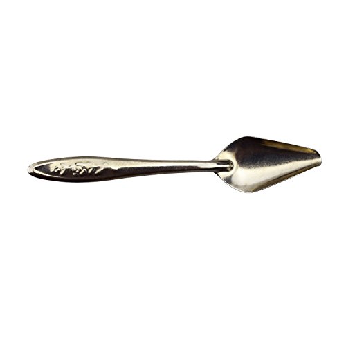 Motanar 4.7" Bird Parrot Stainless Steel Metal Feeding Spoon,Special Feeding Scoop Medicine Spoons Hand Feeding Spoons for Peony Cockatiel Parrot (1 PCS)