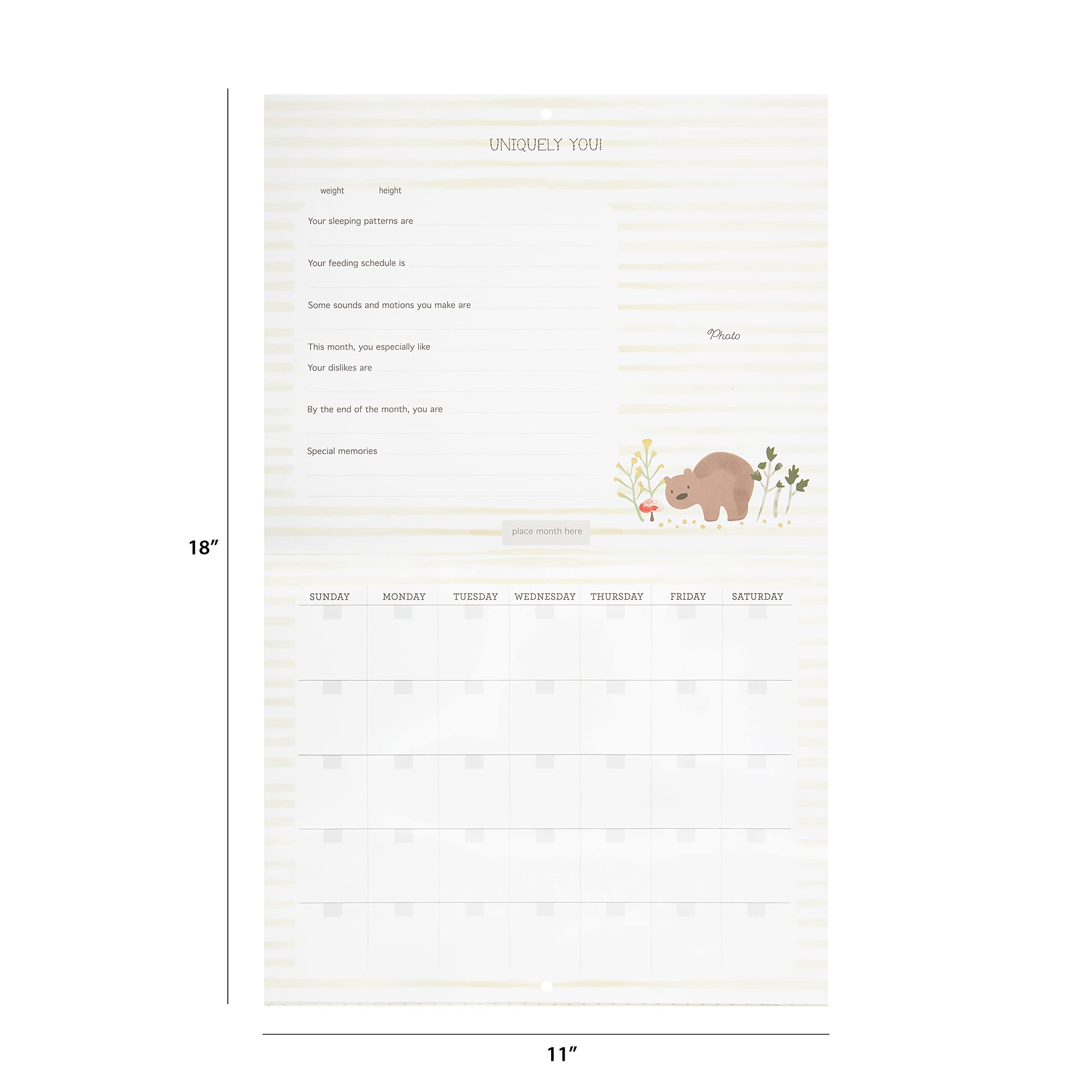 C.R. Gibson BA3-24546 Little One Woodland Gender Neutral Baby's First Year Keepsake Calendar, 11" W x 18" H Open, Multicolor