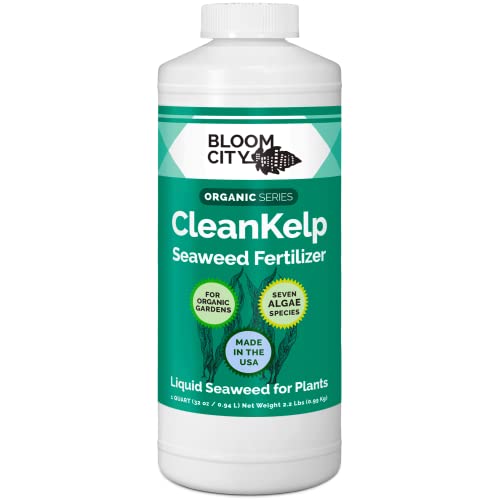 Organic Liquid Kelp Fertilizer - Seaweed Fertilizer for Plants - Concentrated Kelp & Seaweed Extract, Quart (32 oz) Makes 180 Gallons