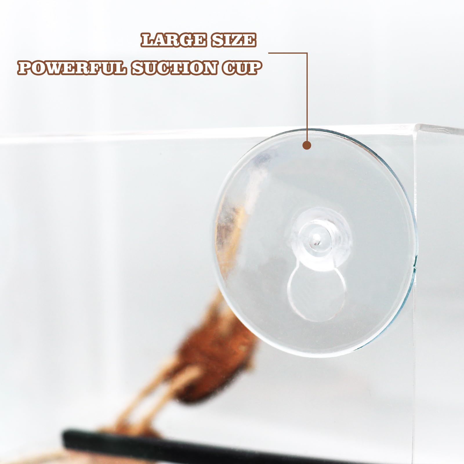 Bearded Dragon Hideout, Transparent Acrylic Lizard Hideout with Strong Suction Cups, Tank Aquarium Decor Accessories, Suitable for Reptile Gecko Frog Lizard Chameleon Hermit Crab 6.7 × 3.9 × 5.7 Inch