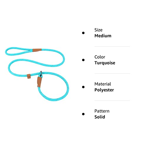 Slip Lead Dog Leash, Reflective Mountain Climbing Rope Leash, Dog Training Leash – 5FT, 2 Sizes (Medium, Turquoise)