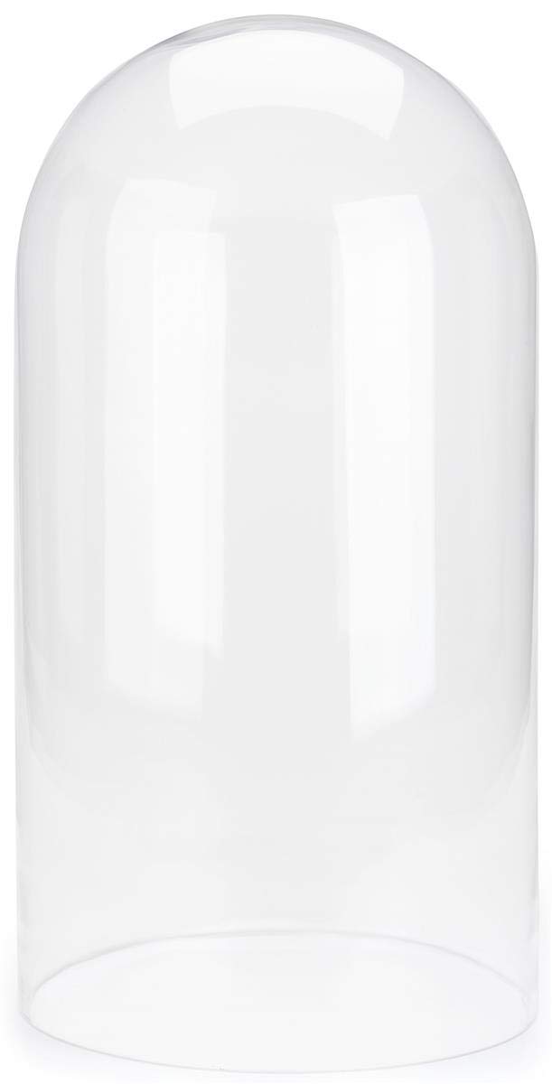 Displays2go Large Glass Dome Display with Baseless Design, 12" x 24" — Clear (DCGDOMEL)