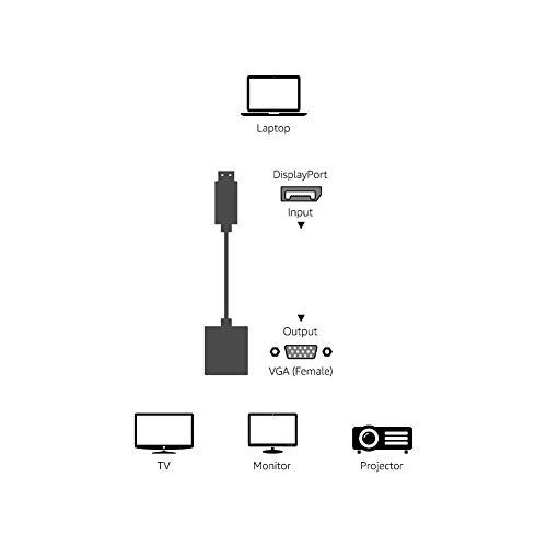 Amazon Basics Display Port to VGA Display Monitor Adapter, 1-Pack, White