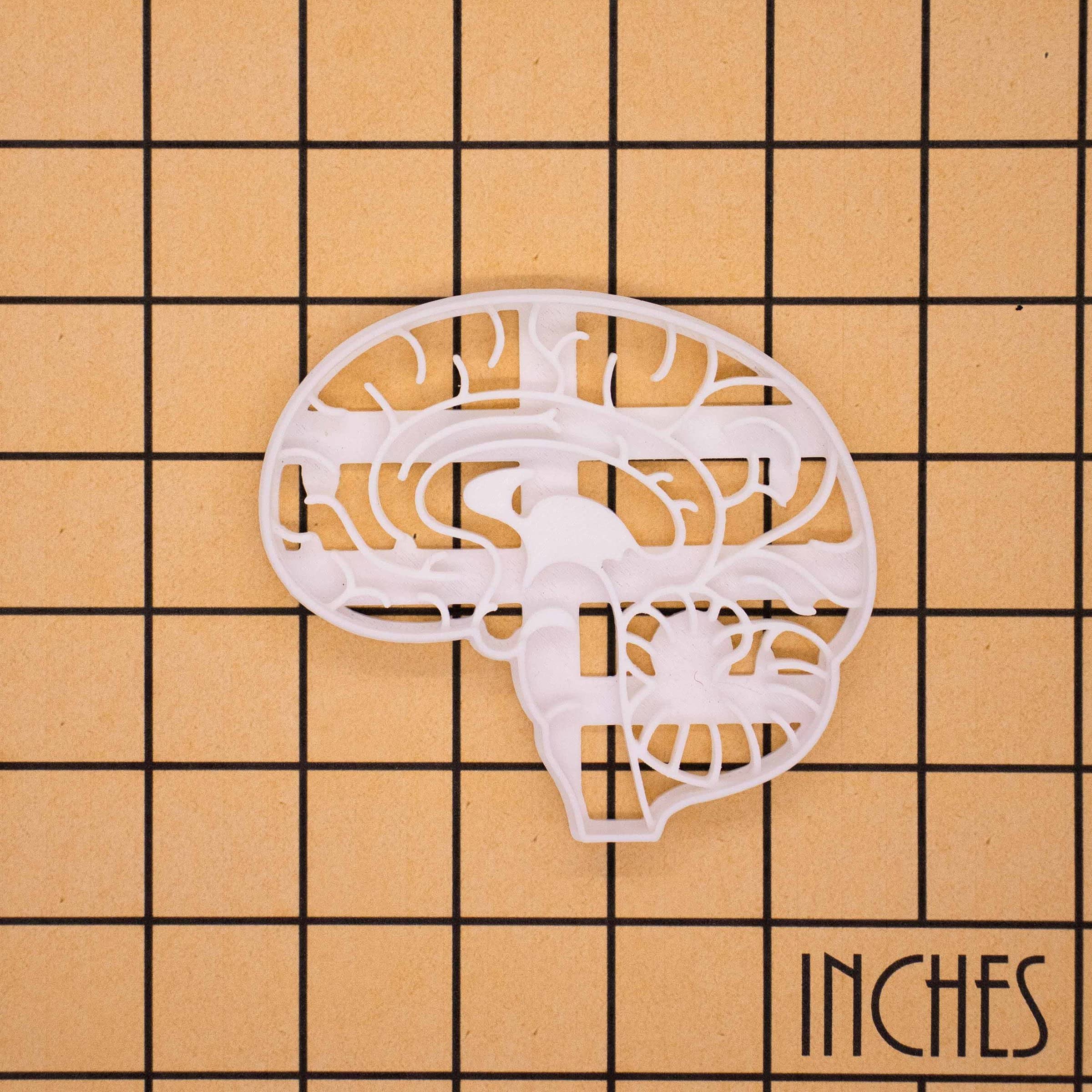 Anatomical Brain cookie cutter, 1 piece - Bakerlogy