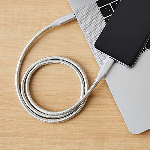 Amazon Basics Aluminum Braided 100W USB-C to USB-C 3.1 Gen 1 Cable with Power Delivery, 3 Feet, Silver