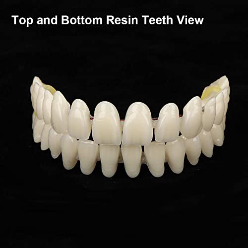 Denture Material Kit for Repair Missing Teeth or DIY Full Denture Fake Teeth (Gum Material and Resin Teeth)