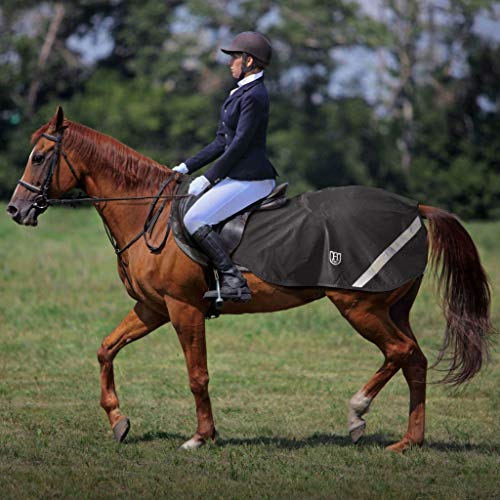 Harrison Howard Climax Exercise Sheet Competition Rug Fleece Waterproof Hi-Vis Lining Black Large
