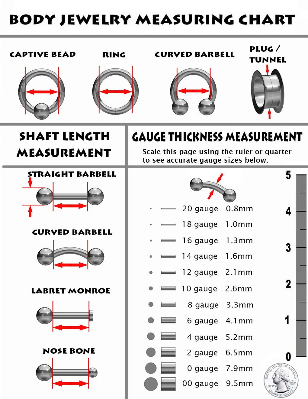 Amelia Fashion 16 Gauge Paw Print Glitter Opal Captive Bead Ring 316L Stainless Steel (Silver/Teal)